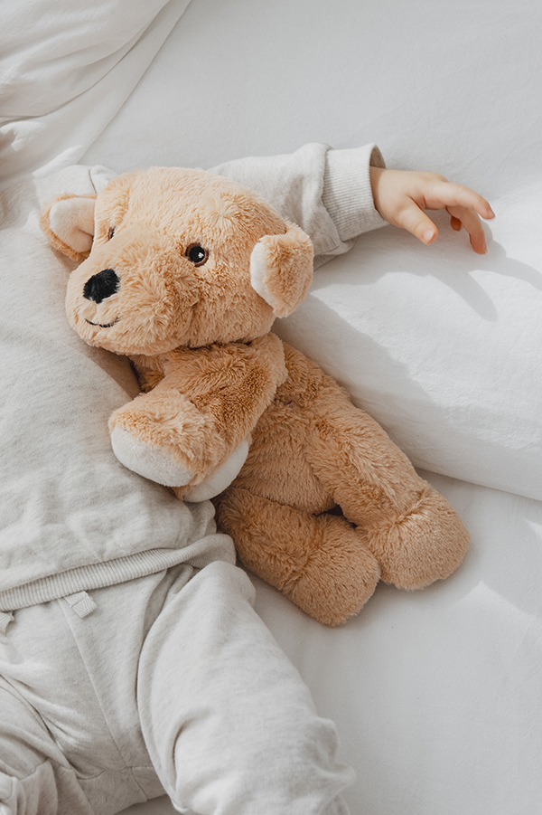 Labrador | Habibi Plush