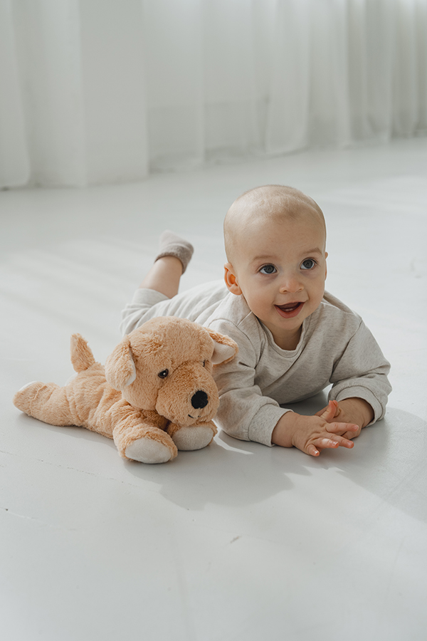 Labrador | Habibi Plush